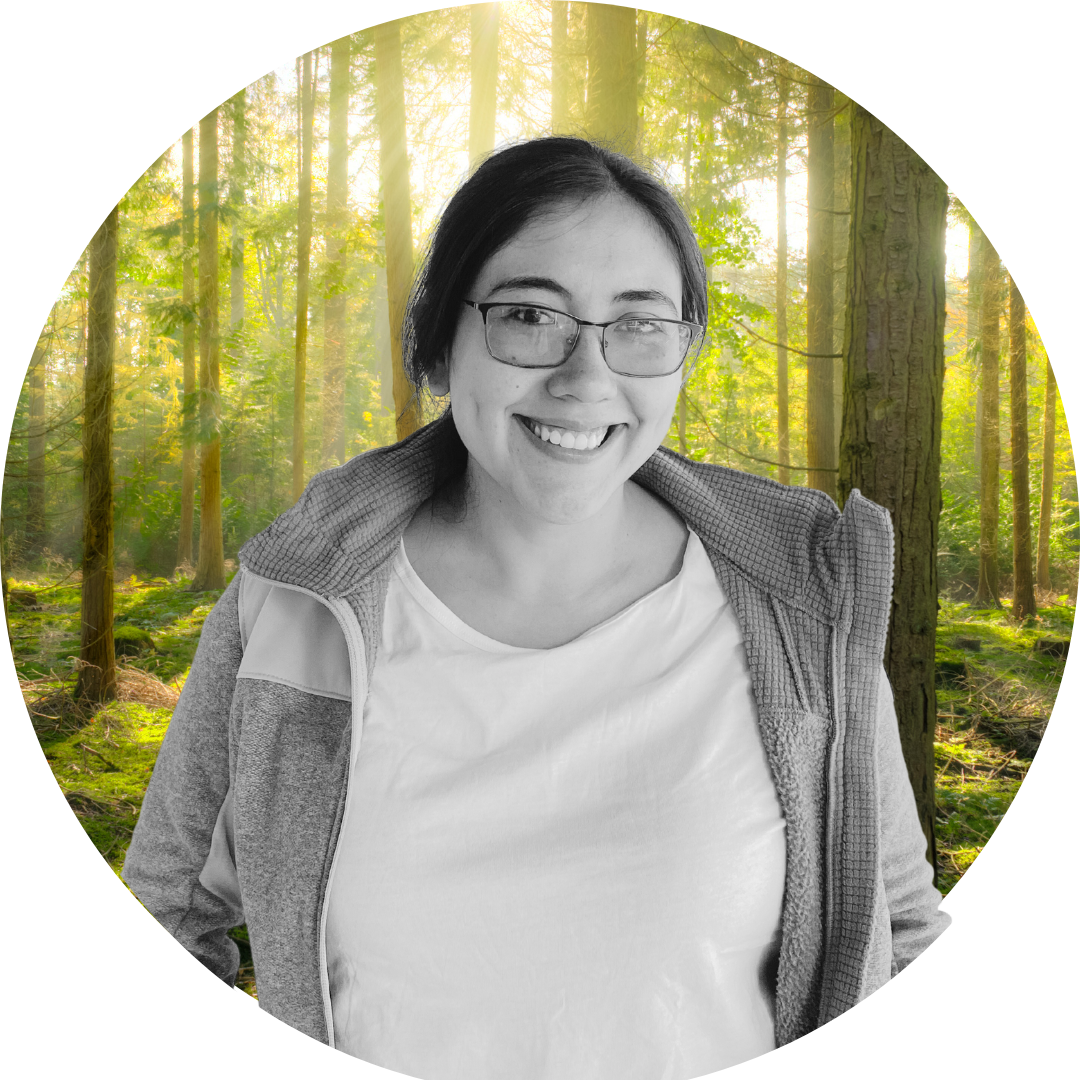 Empresa de Negocios Sustentables | minkadev | minkadev